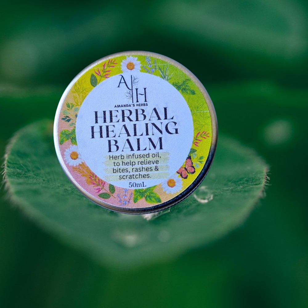 Herbal Healing Balm - Amanda's Herbs